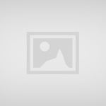 Apollo 53832-070APO XP95 Series MiniDisc Remote Indicator for Fire ...